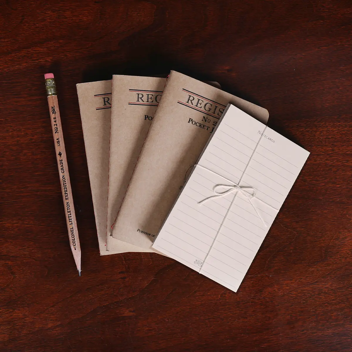 No. 27 Pocket Journal - American Alligator - 002 | Col. Littleton